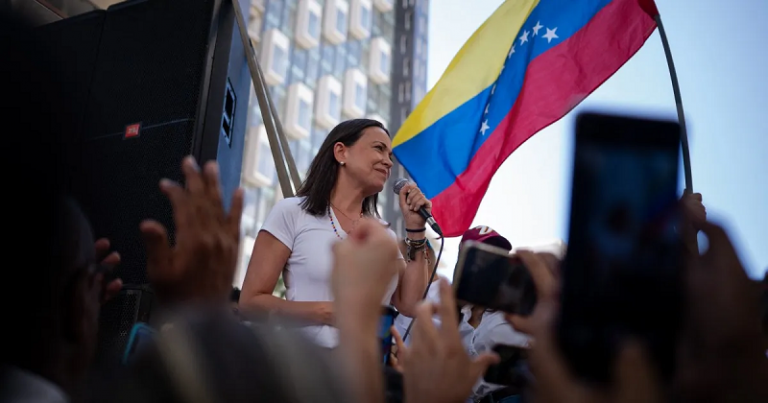 Siete países latinoamericanos manifestaron sus dudas sobre la ...